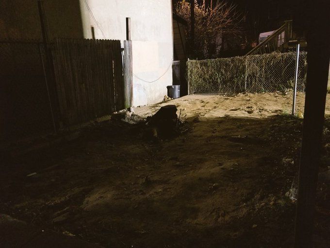 How did detective Sean Suiter die? True story explored ahead of HBO's ...