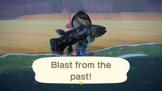 5 most rare fish in Animal Crossing: New Horizons (2022)