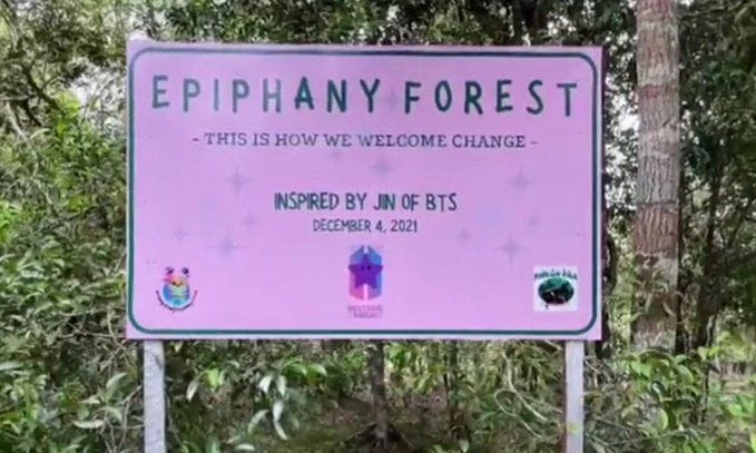 Fans of BTS' Jin plant an entire "Epiphany Forest" at the Jurung Tiga ...