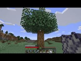 How To Make Trees Grow Faster In Minecraft 1 18