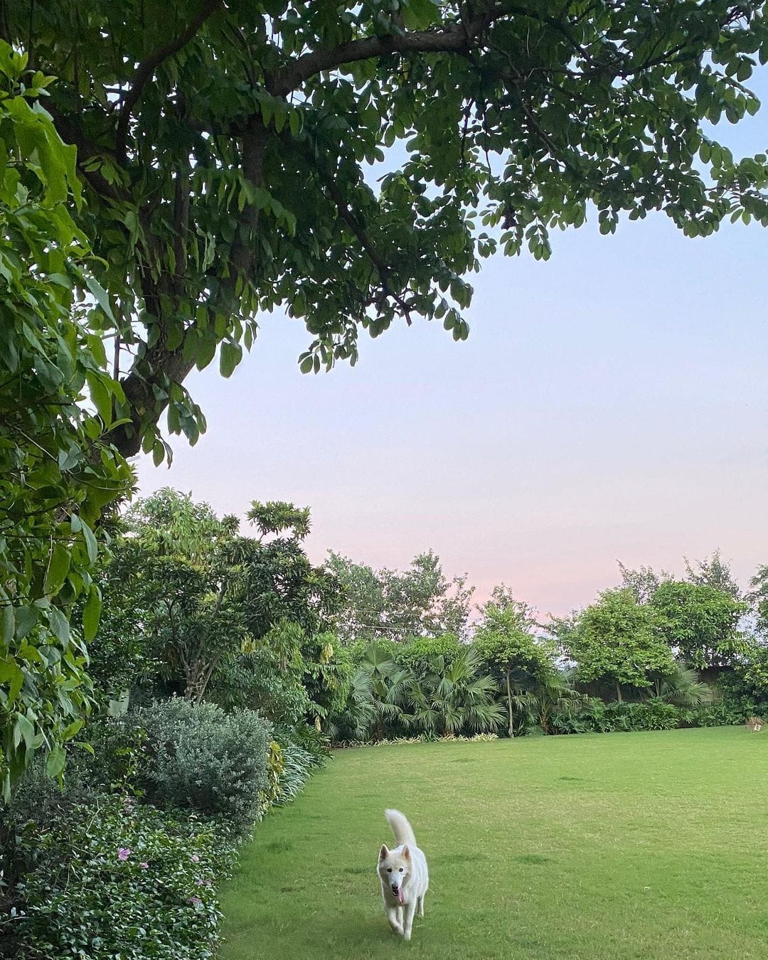 MS Dhoni's House- MS Dhoni Residence, Address & House Photos