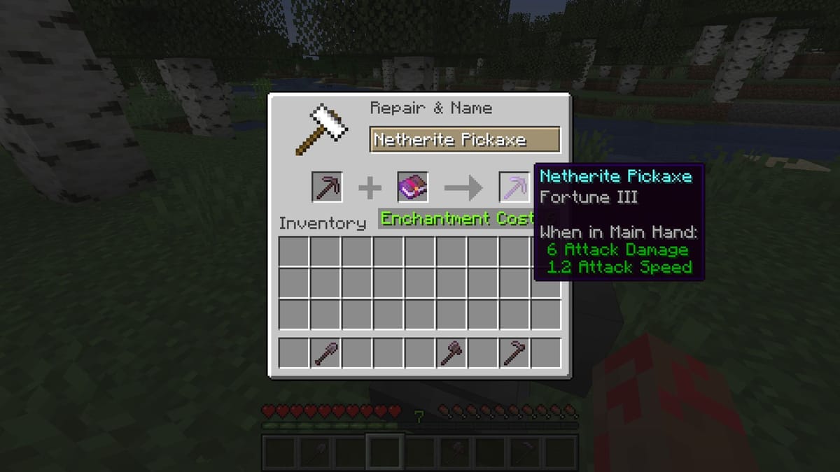 Which items does the Fortune enchantment work on in Minecraft?