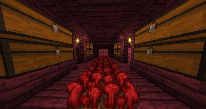 Different growth stages of Nether wart in Minecraft
