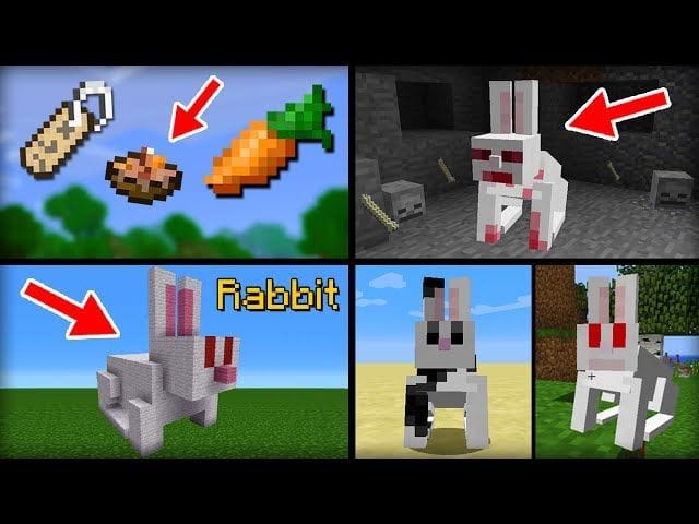 Can you tame a rabbit in Minecraft?