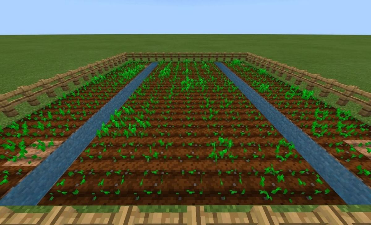 5 easiest wheat farm designs to build in Minecraft