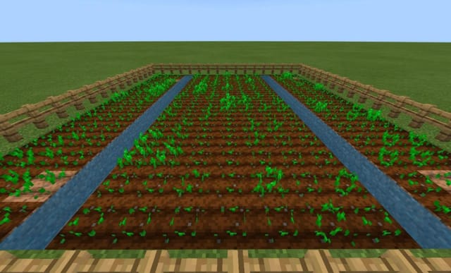 5 easiest wheat farm designs to build in Minecraft