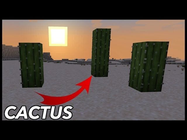 5 things you may not know about cactus blocks in Minecraft