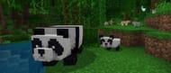 Minecraft Pandas: Spawning, Behavior, Appearance & Breeding
