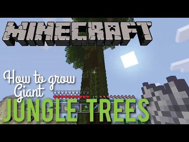 How to grow jungle trees in Minecraft
