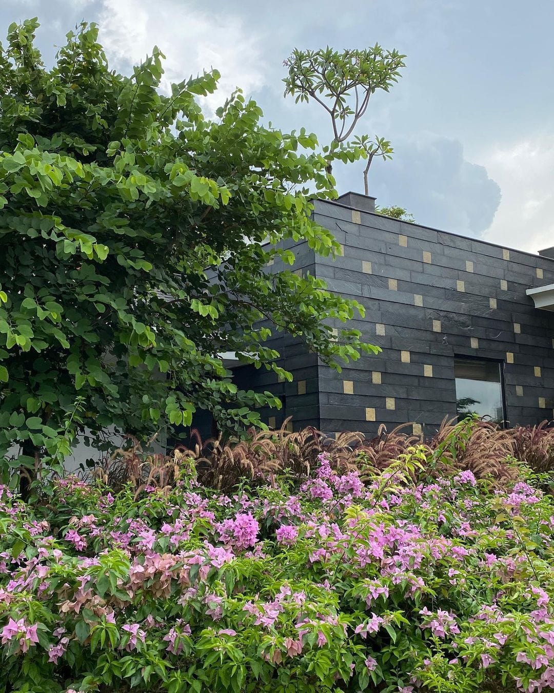 MS Dhoni's House- MS Dhoni Residence, Address & House Photos