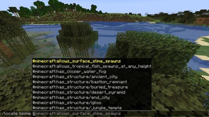 New type of '/locate' command added in Minecraft snapshot 22w19a