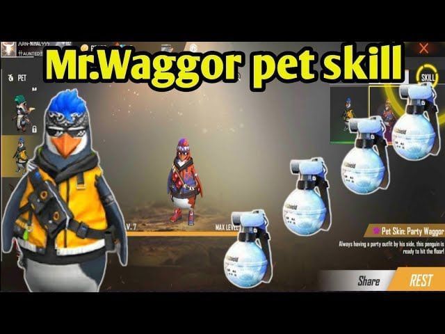 5 best Free Fire MAX pets for rank push after OB34 update