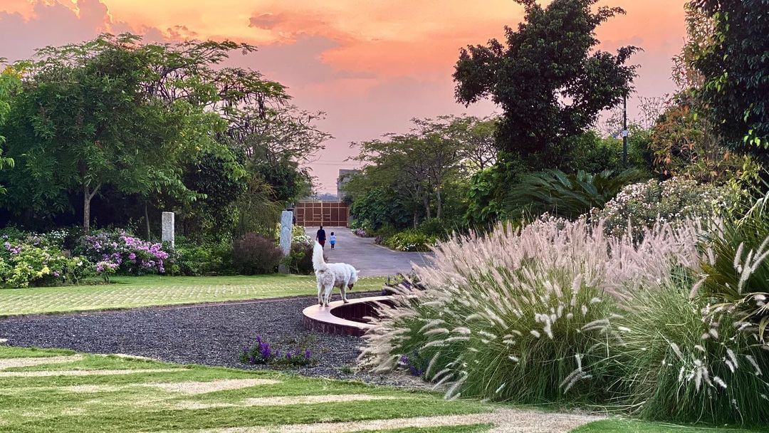 MS Dhoni's House- MS Dhoni Residence, Address & House Photos