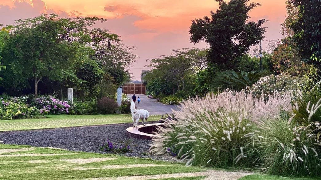 MS Dhoni's House- MS Dhoni Residence, Address & House Photos