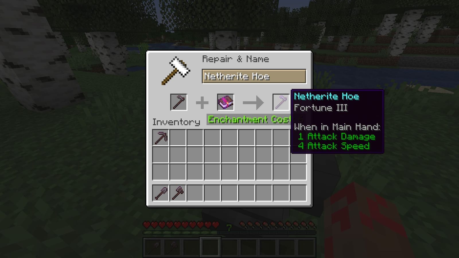 Which items does the Fortune enchantment work on in Minecraft?