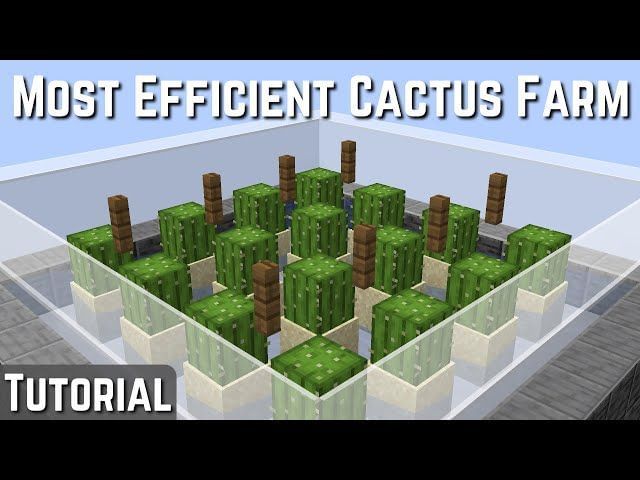 5 things you may not know about cactus blocks in Minecraft
