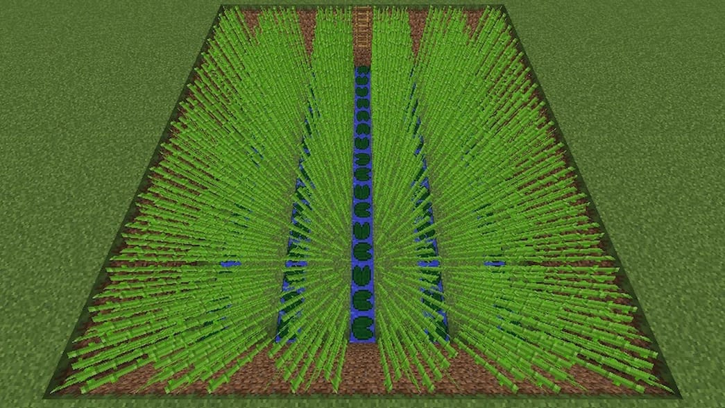 5 best farm layouts for sugar cane in Minecraft
