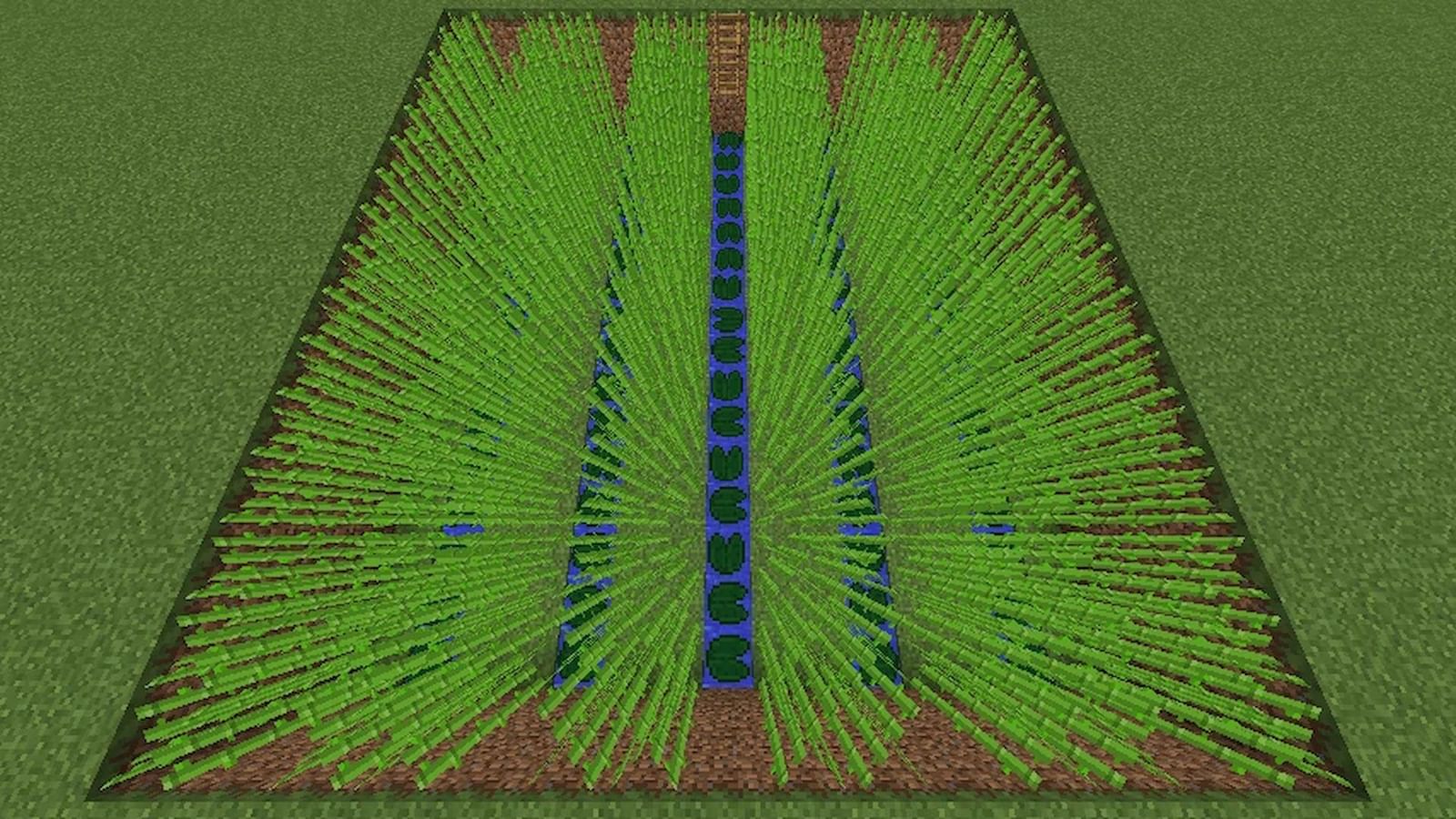 5 best farm layouts for sugar cane in Minecraft