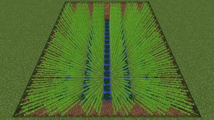 5 best farm layouts for sugar cane in Minecraft