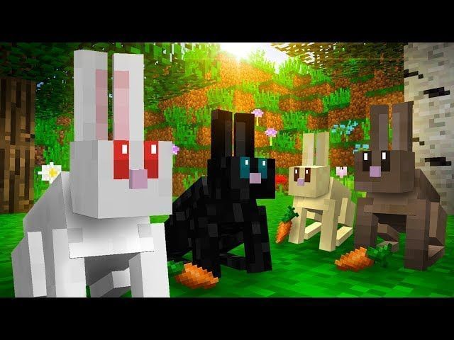 Can you tame a rabbit in Minecraft?