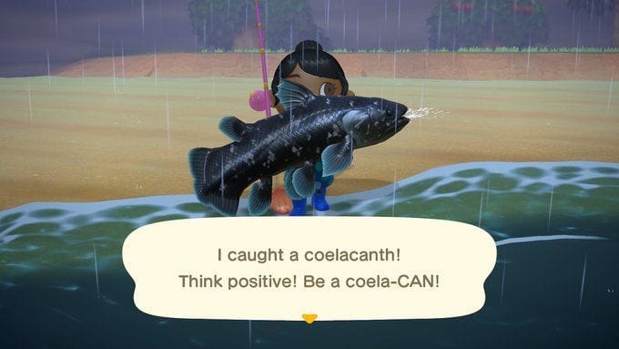 Animalcrossing Rare Fish