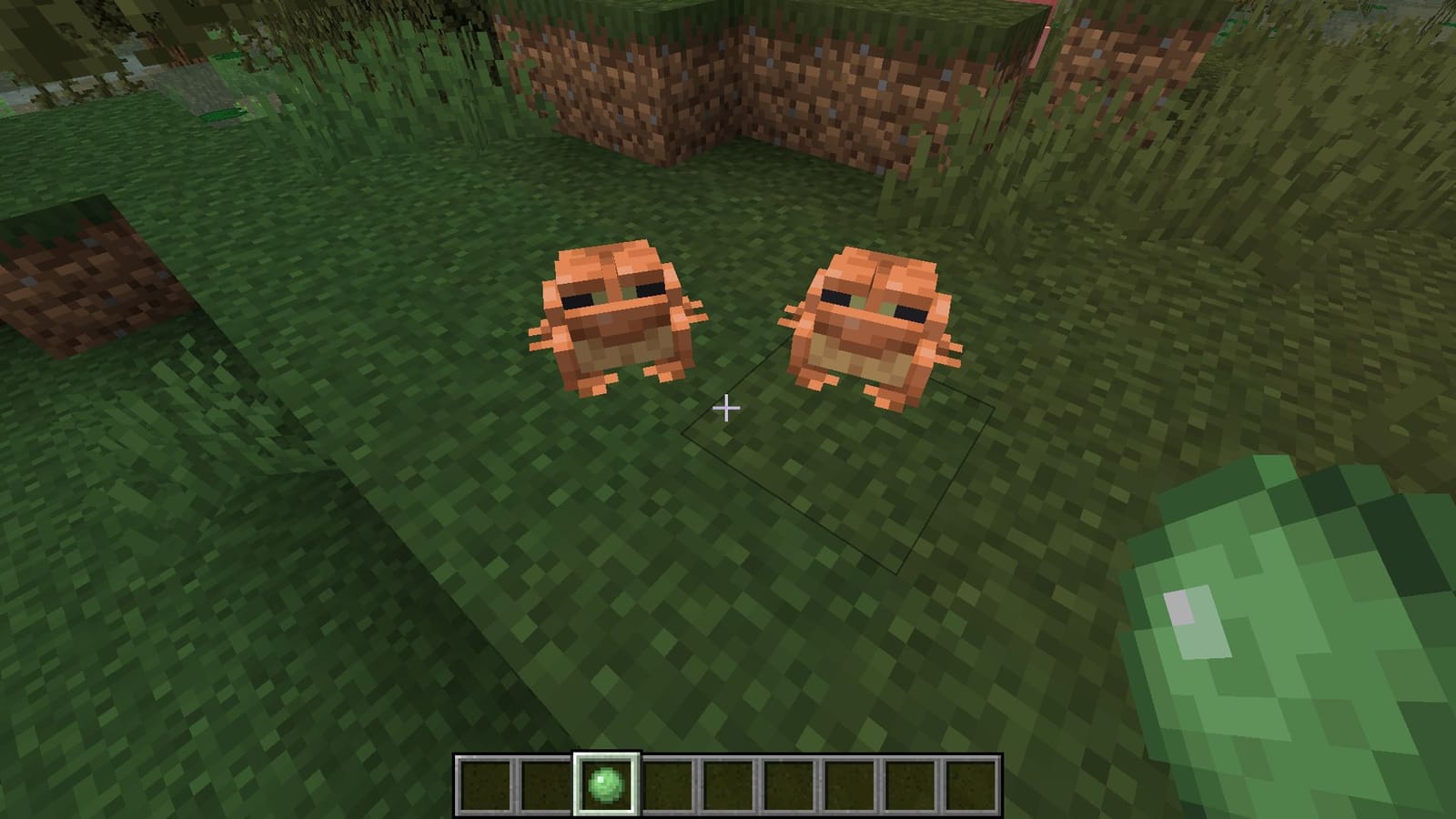 How to get different colored frogs in Minecraft 1.19 The Wild Update?