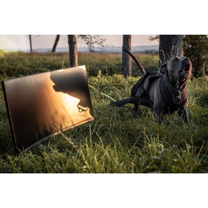 5 best ultrawide monitors under $600 for gaming