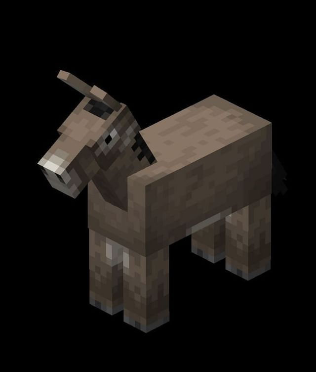 Donkeys in Minecraft: Where to Find, how to tame, what do they eat ...