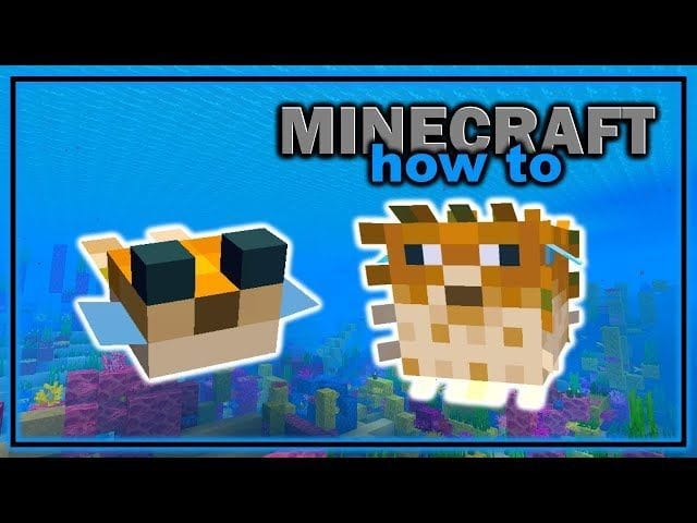 How rare are Pufferfish in Minecraft?