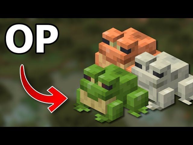 Where will frogs spawn in Minecraft 1.19 The Wild Update?