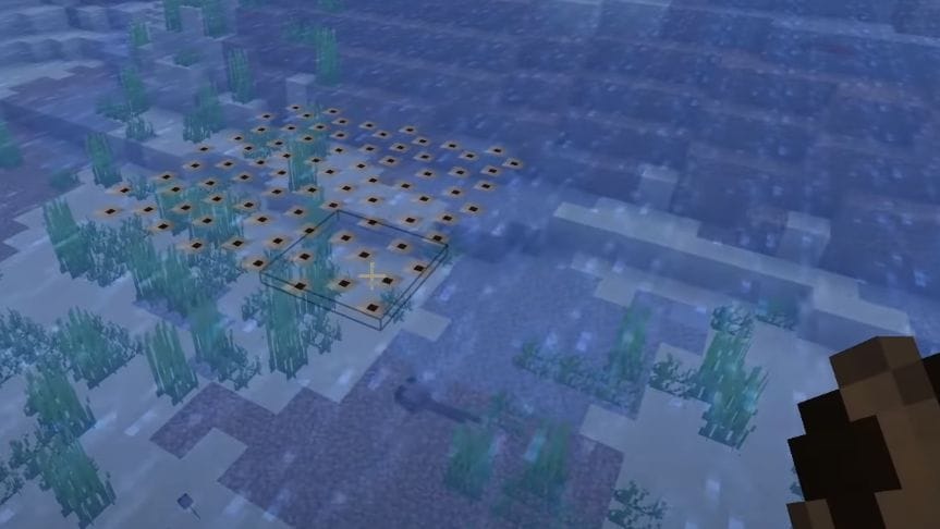 Tadpoles in Minecraft