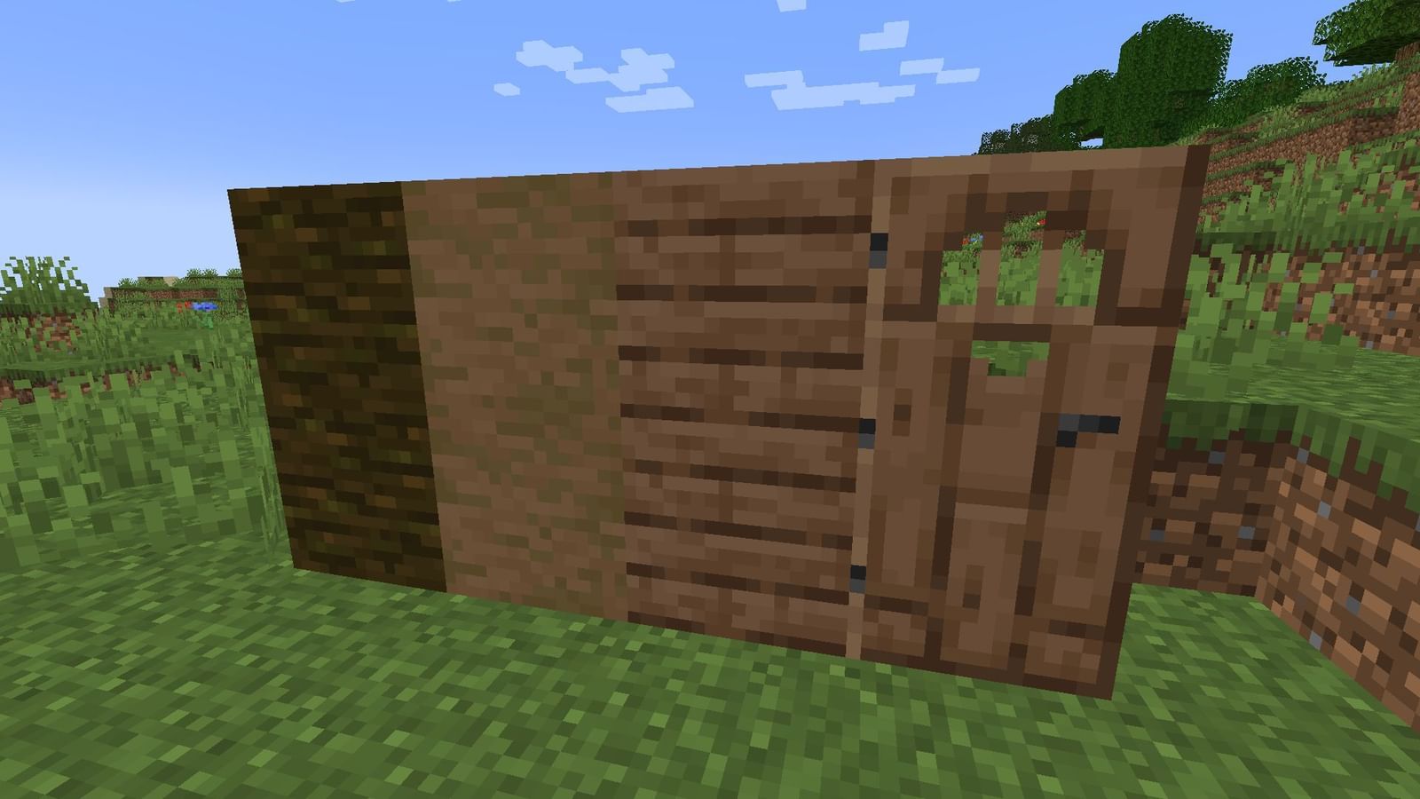 Every type of wood in Minecraft