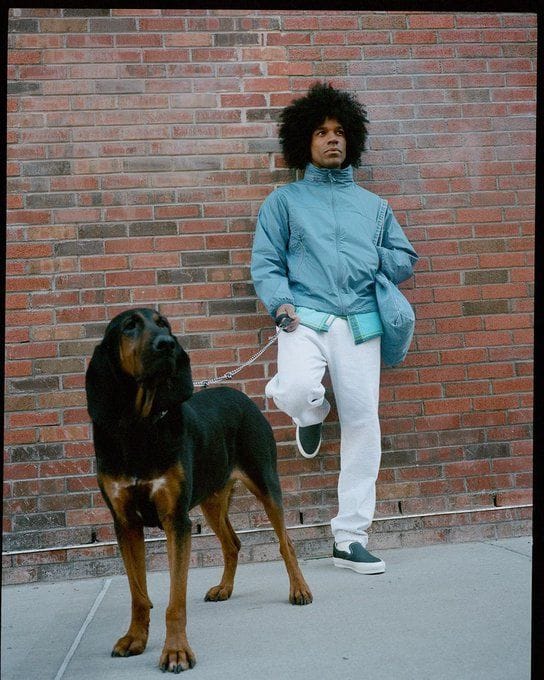 Where to buy Vans X Adsum footwear collection? Release date, price and ...