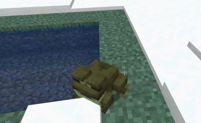Where will frogs spawn in Minecraft 1.19 The Wild Update?