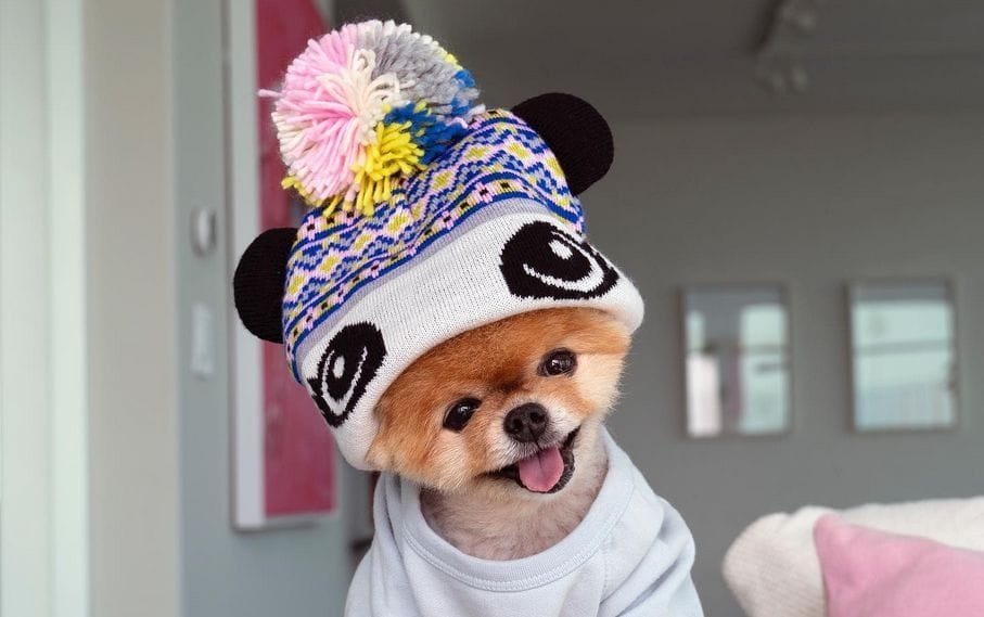 Jiffpom's Age, Bio, Net Worth, Career, Personal Life and FAQs