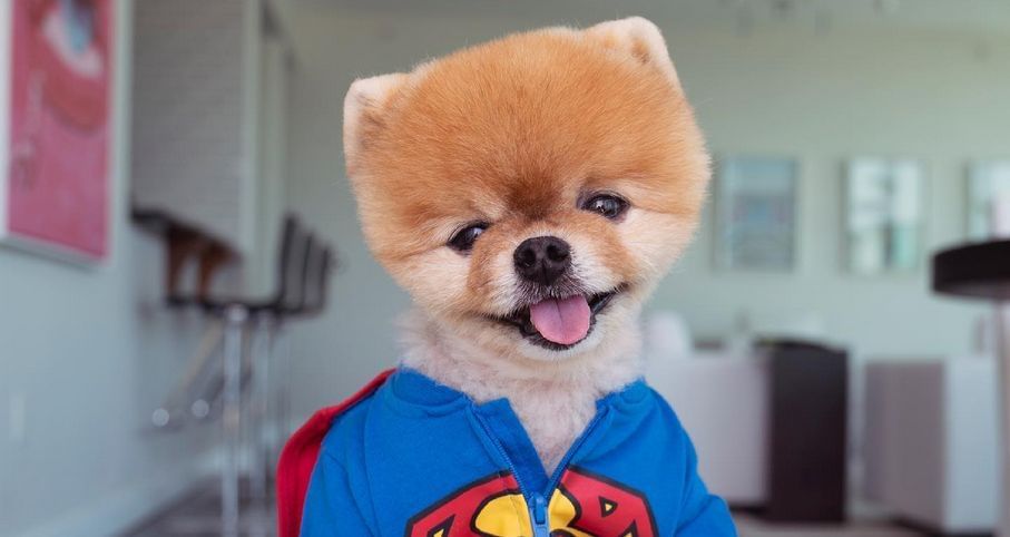 Jiffpom's Age, Bio, Net Worth, Career, Personal Life and FAQs