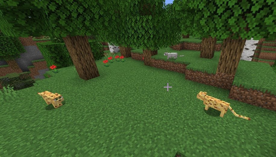 Minecraft Ocelots Wiki - Behavior, Spawn, Breeding, Trivia, FAQs