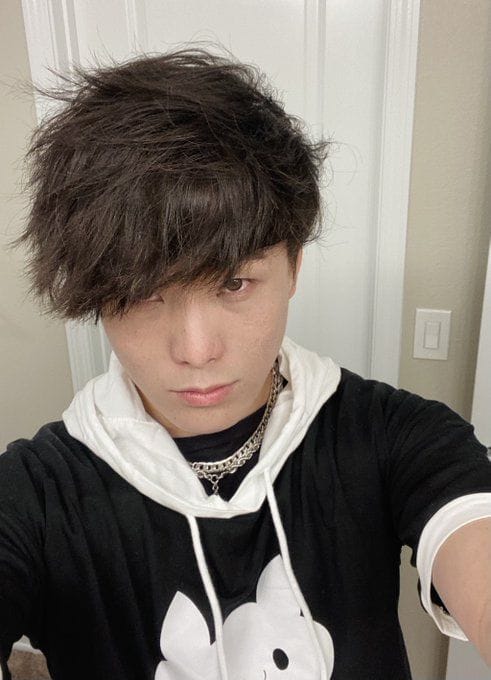 "It's not possible anymore"- Sykkuno reveals that he wanted to move in ...