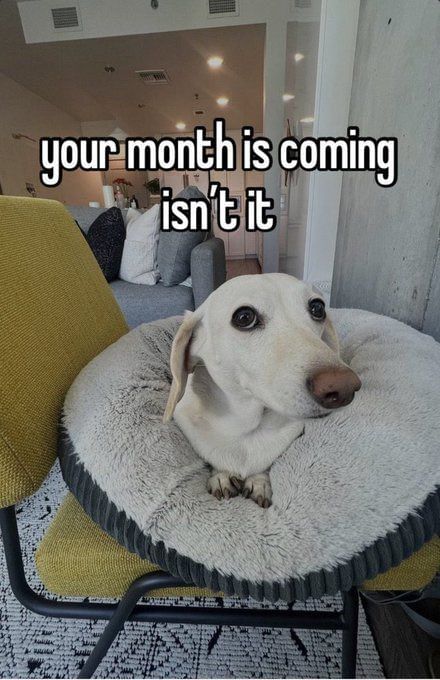 YouTuber Anthony Po shares a bizarre experience he had right at the ...