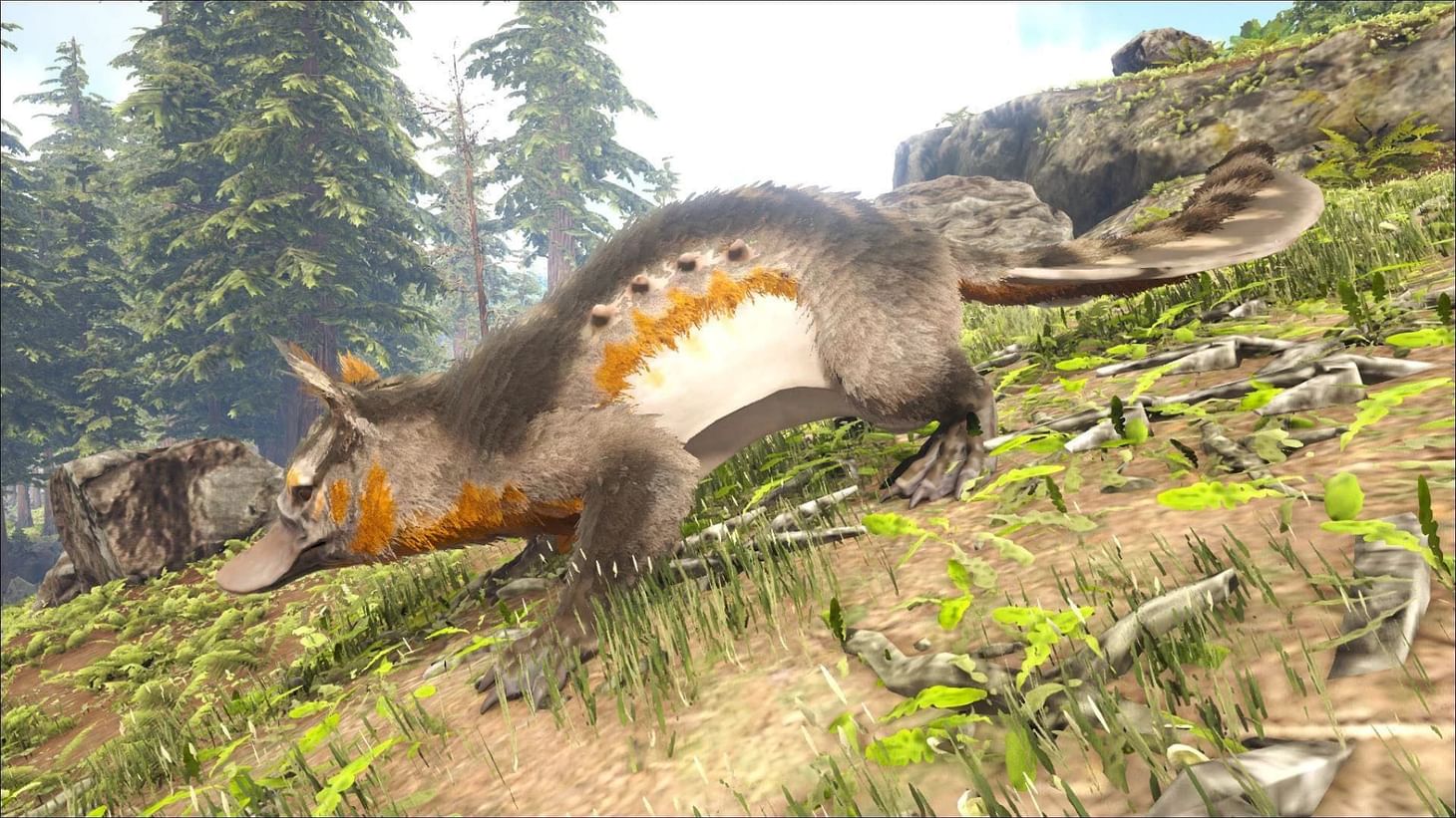 How to find the Maewing in ARK: Survival Evolved