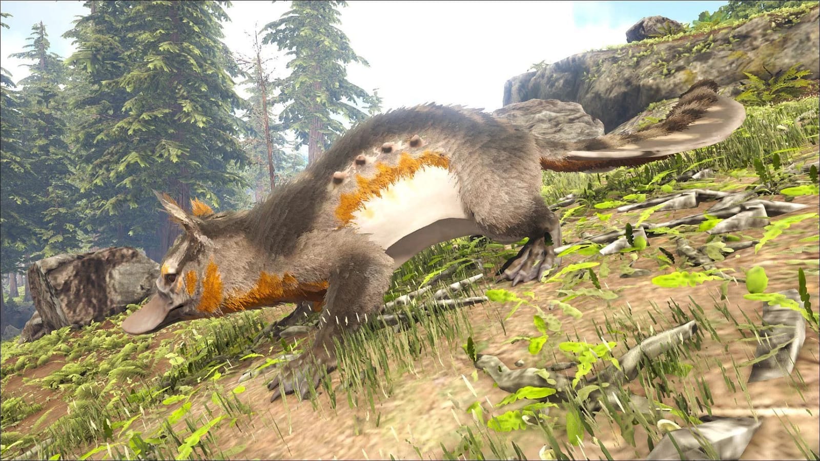 How to find the Maewing in ARK: Survival Evolved