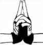Hand Signs in Naruto