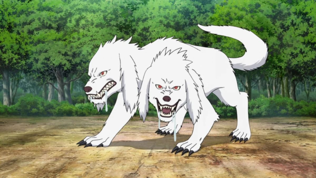 Inuzuka Clan in Naruto