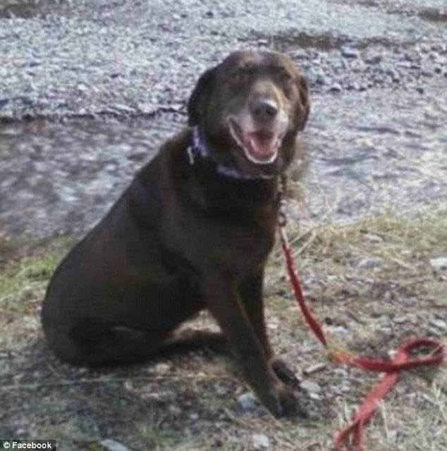 Lifetime's #TextMeWhenYouGetHome: Where is April Millsap's killer James ...