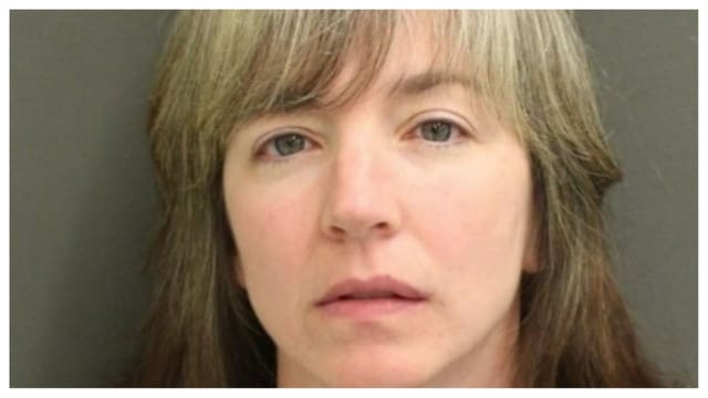 Danielle Redlick trial: Case explored as Florida woman charged for ...