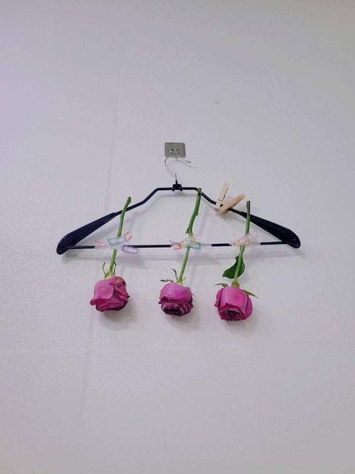 ARMYs floored by BTS' brilliant idea of handing out pink roses as gifts ...