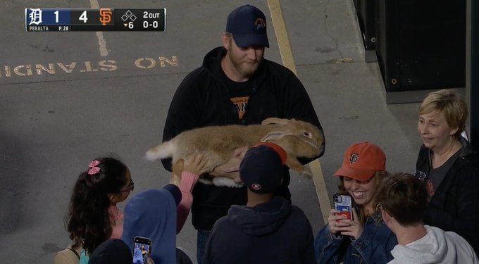 "That’s a big a** rabbit” "I’m gonna find a big rabbit so i get VIP ...