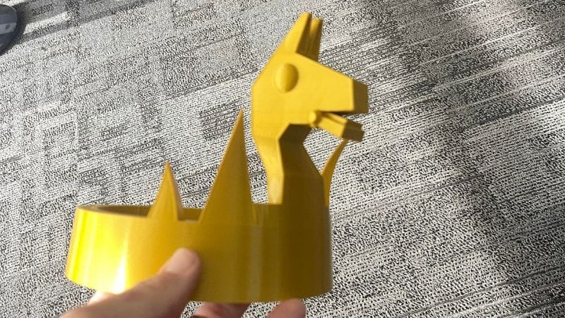 Fortnite player gets a real-life victory crown on his birthday