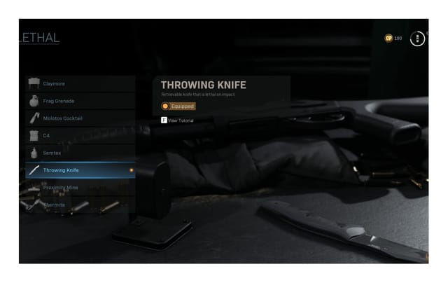 Call of Duty Warzone beginners' guide to all in-game items