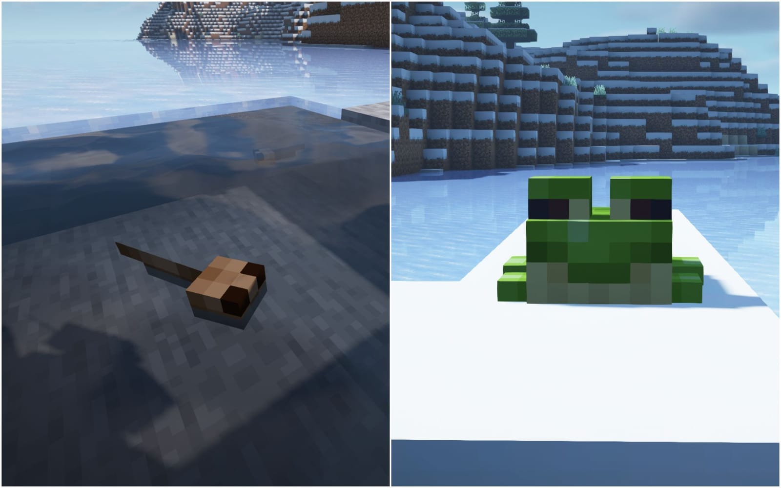 Where to find all three types of Frogs in Minecraft 1.19?